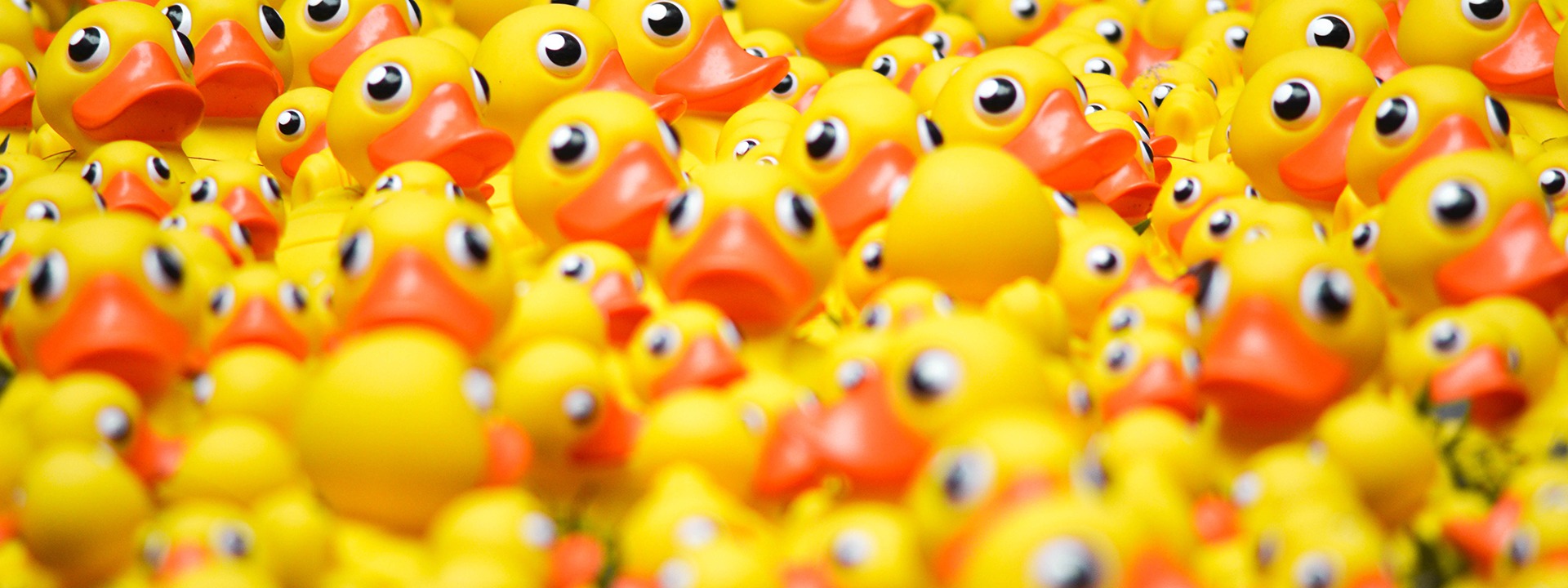 Rubber Ducking - WebDevStudios