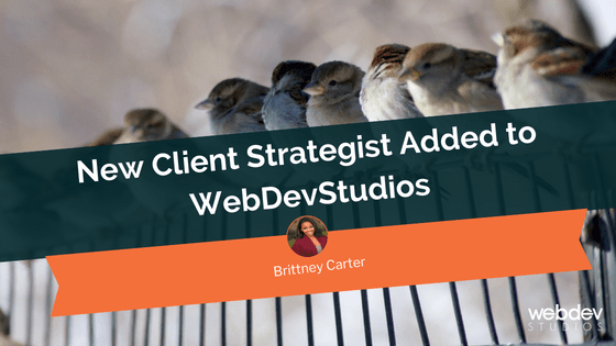 New Client Strategist Added to WebDevStudios - WebDevStudios