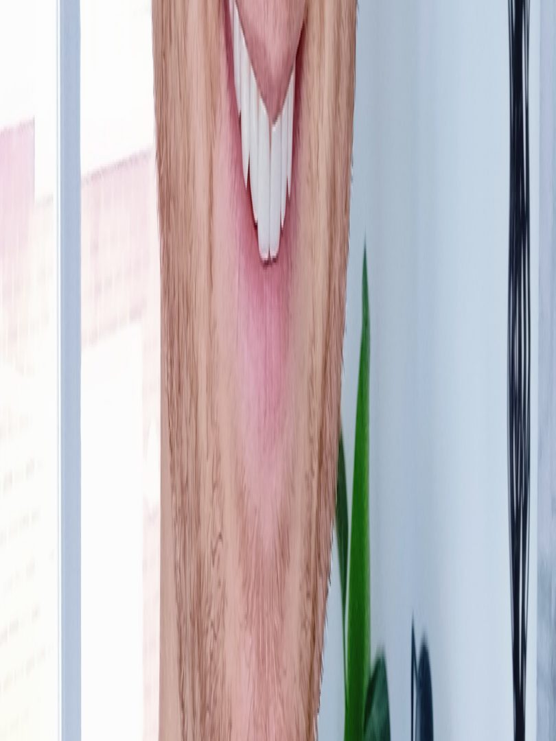 Meet the Newest WebDevStudios Engineers! - WebDevStudios