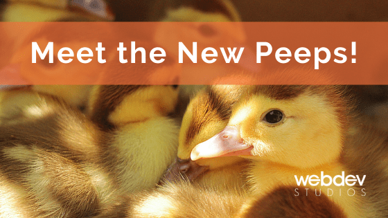 Meet the New Peeps on the WebDevStudios Team! - WebDevStudios