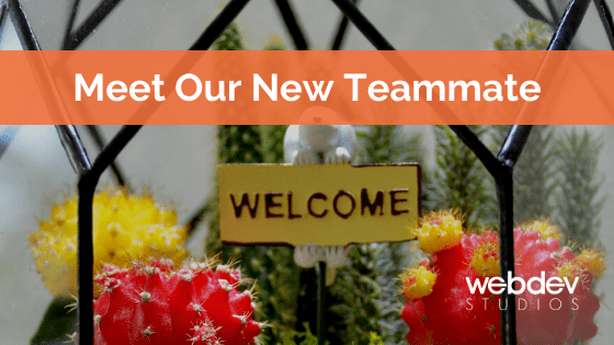 Meet Our New Teammate - WebDevStudios