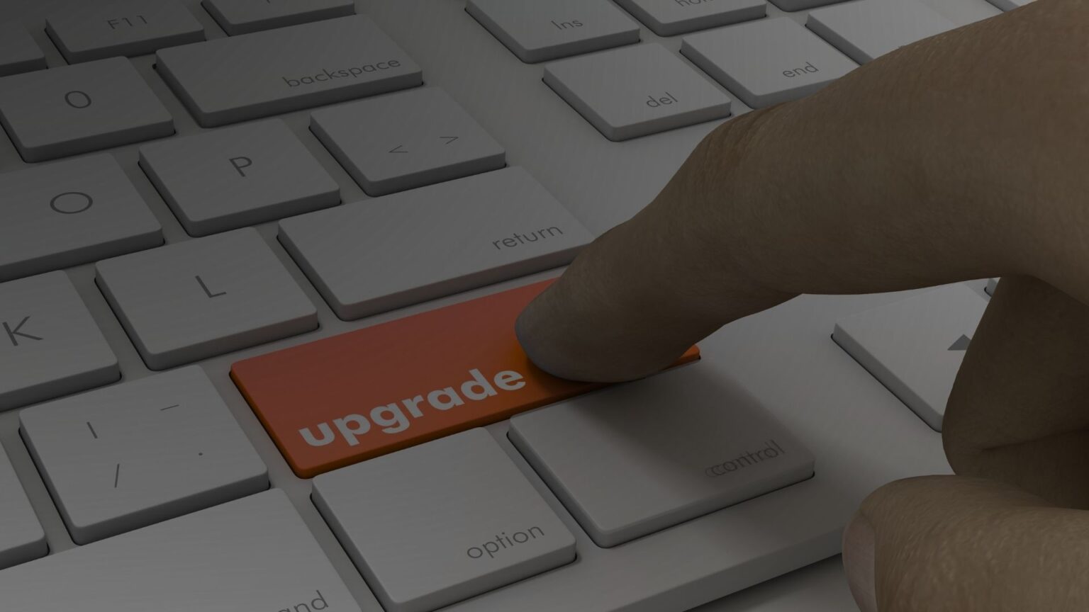 WordPress Theme Upgrade - Black Friday Special